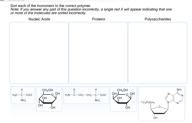 Solved Sort Each Of The Monomers To The Correct Polymer