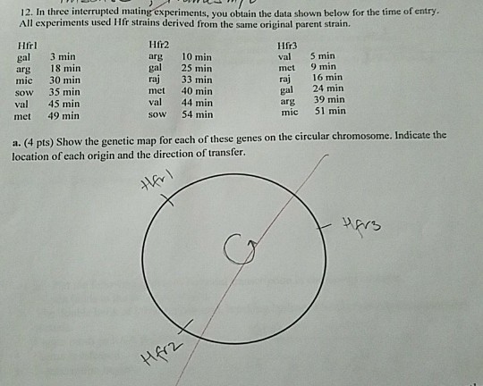 Solved 12. In three interrupted mating experiments, you | Chegg.com