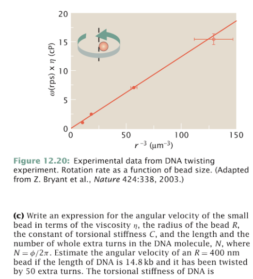 12.5 DNA twist experiment A molecule of DNA (length | Chegg.com