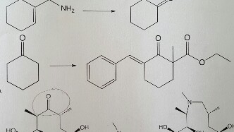 Solved NH2 O O 0 0 o OH HO | Chegg.com