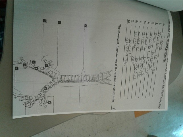 Solved 1a tele The structural, function unit of the | Chegg.com