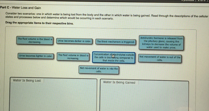 Solved Part A-The Terminology of Fluid Balance To understand | Chegg.com