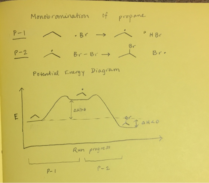 Solved Monofluorination and monobromination of propane. Can | Chegg.com