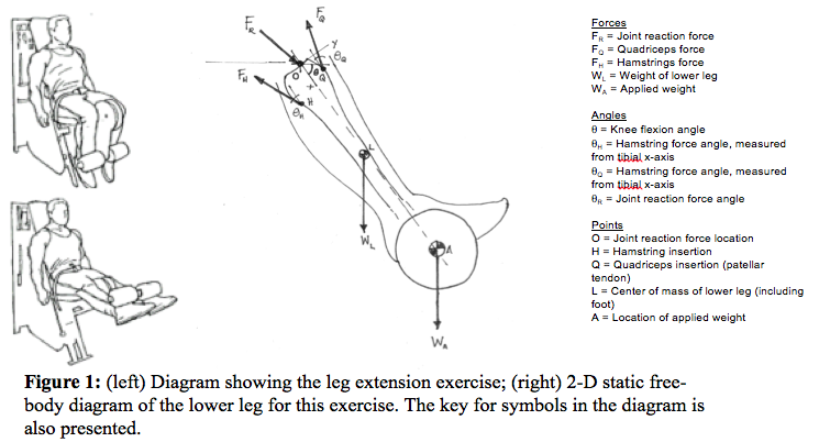 Leg Extension Diagram