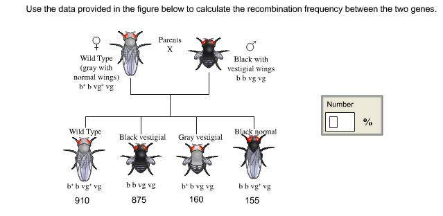 Solved Use the data provided in the figure below to | Chegg.com