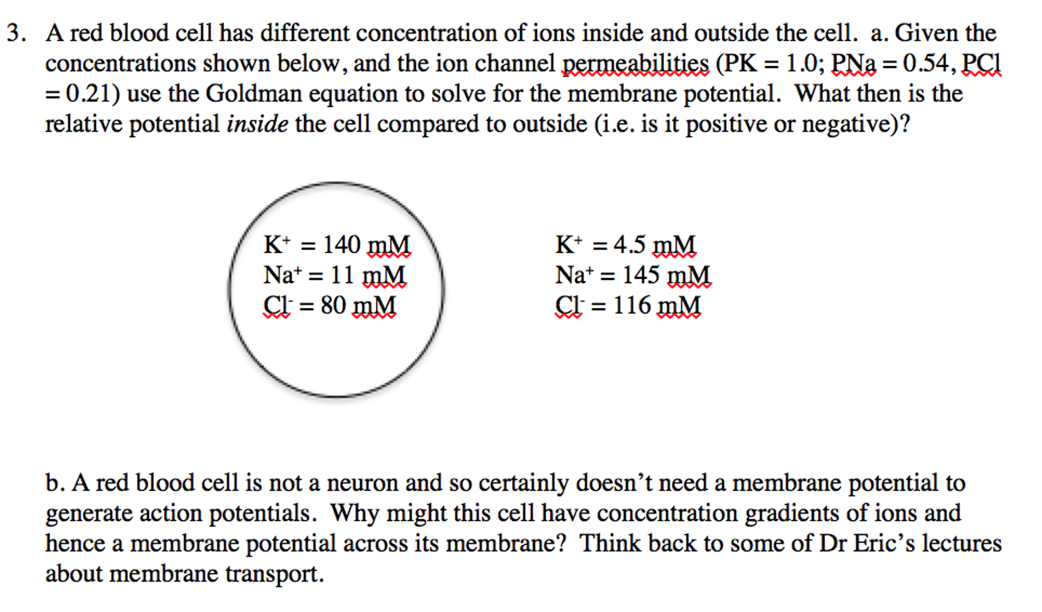 Solved A red blood cell has different concentration of ions | Chegg.com