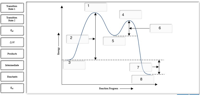 Solved What goes where? | Chegg.com