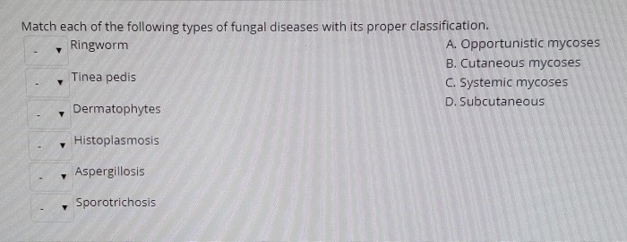 Solved Match each of the following types of fungal diseases | Chegg.com
