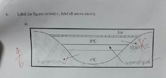 Solved 4. Label the figures below (ie., label all anrows | Chegg.com