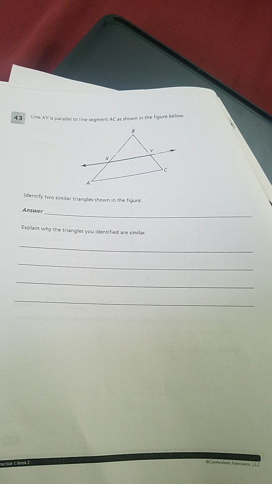 Solved 43 Line XY is parallel to line segment AC as shown in | Chegg.com