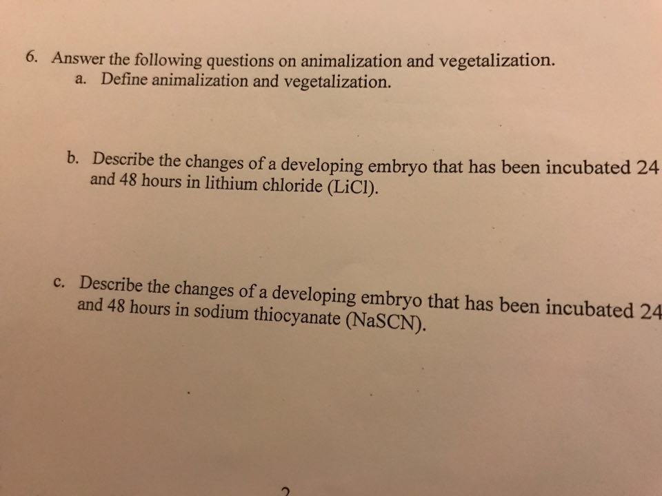 Solved 6. Answer the following questions on animalization | Chegg.com