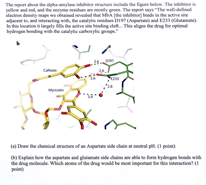 Amylase Enzyme Structure