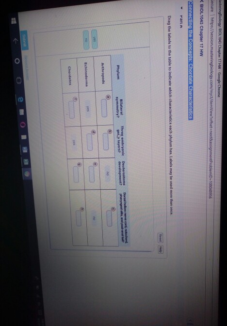 Solved BIOL 1043 Chapter 17 Hw | Chegg.com