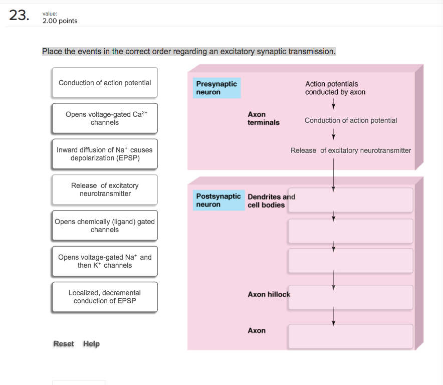 Solved Place the events in the correct order regarding an | Chegg.com