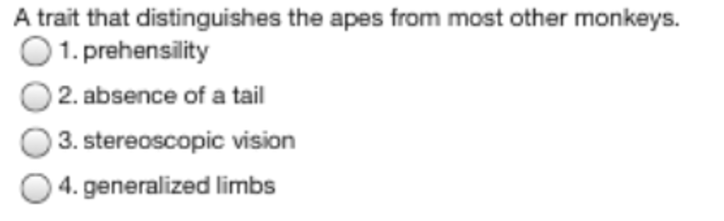 Solved A trait that distinguishes the apes from most other | Chegg.com
