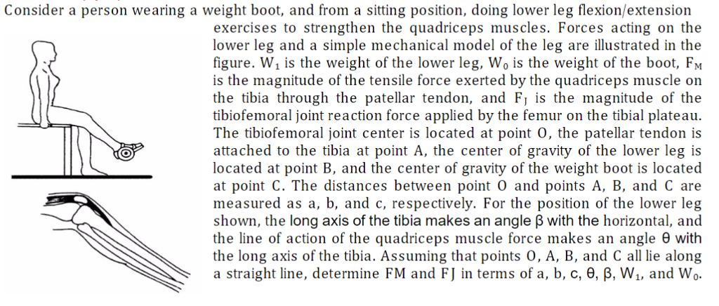 Solved Consider a person wearing a weight boot, and from a | Chegg.com