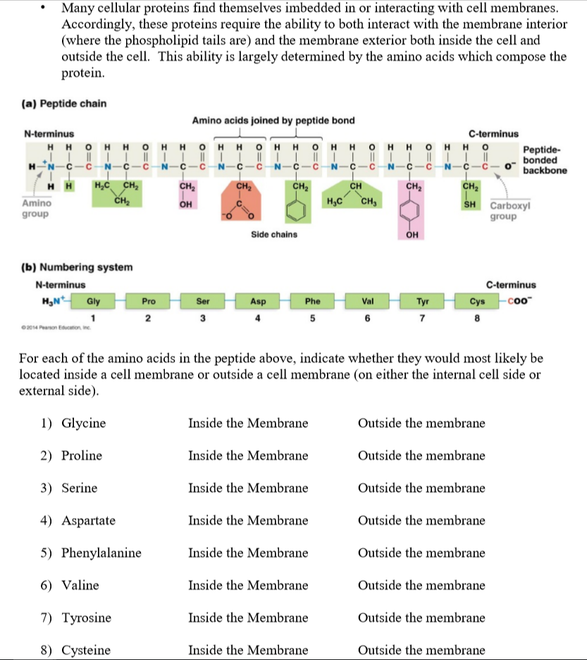 Cells Free Fulltext Membrane Transporters For Amino Acids As