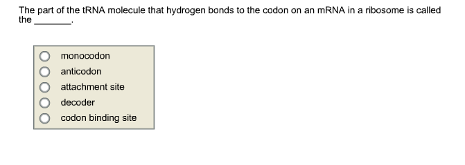 Solved The part of the tRNA molecule that hydrogen bonds to | Chegg.com
