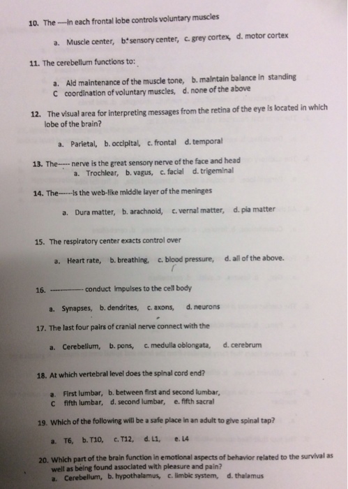 Solved 4. All thought, association, and Judgment takes place | Chegg.com