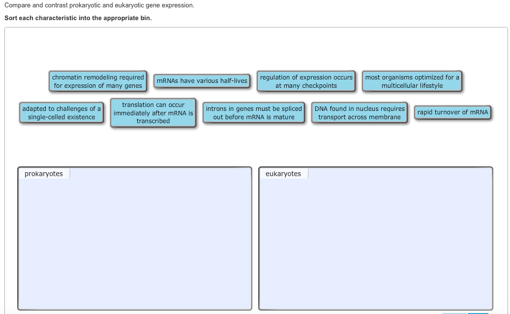 Solved Compare and contrast prokaryotic and eukaryotic gene | Chegg.com