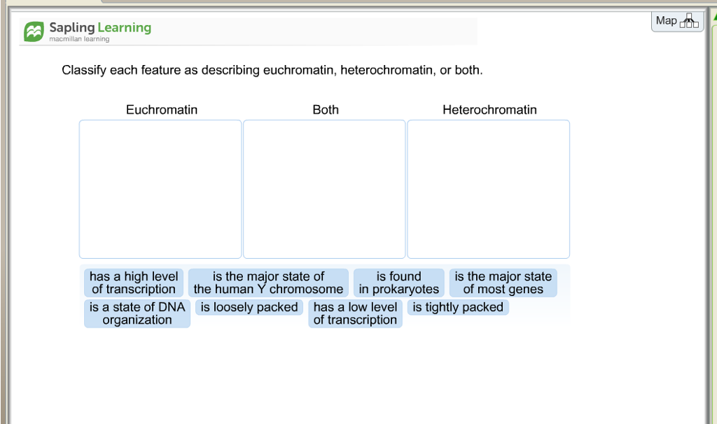 Solved Classify each feature as describing euchromatin, | Chegg.com