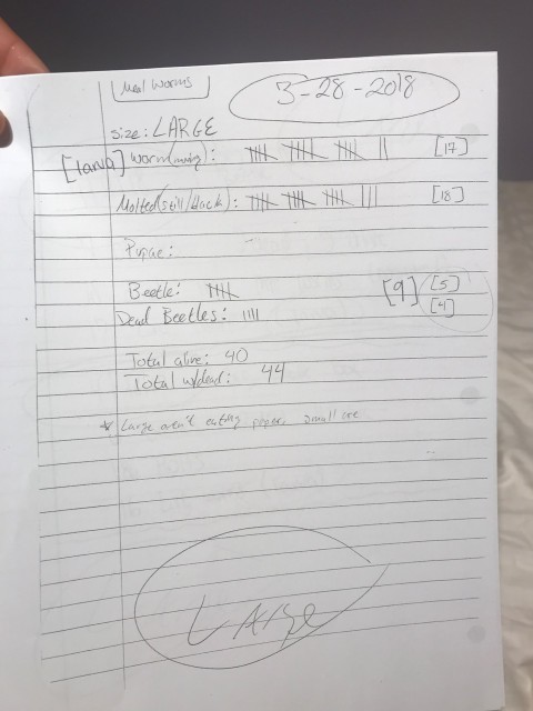 o4oaSmall Bo-Kathe Joanna tin-Beatles-lo- eael 1. Mol | Chegg.com