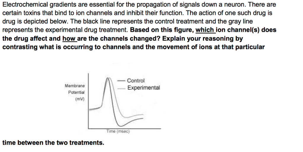 Solved Electrochemical gradients are essential for the | Chegg.com