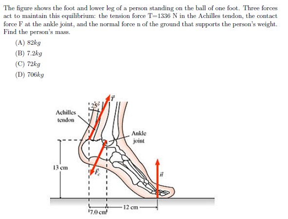 Solved The figure shows the foot and lower leg of a person | Chegg.com