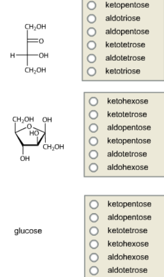 Solved O ketopentose o ketopentose C aldotriose CH2OH O | Chegg.com