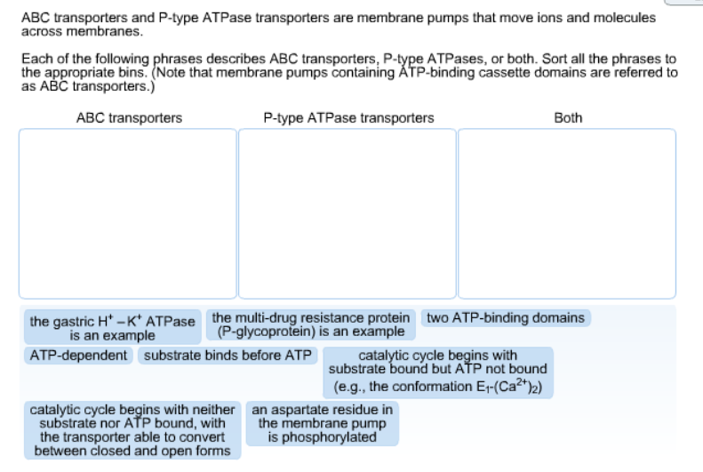 Solved ABC transporters and P-type ATPase transporters are | Chegg.com