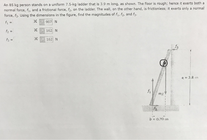 Solved: An 85 Kg Person Stands On A Uniform 7.5-kg Ladder ... | Chegg.com Solved: An 85 Kg Person Stands On A Uniform 7.5-kg Ladder ... | Chegg.com