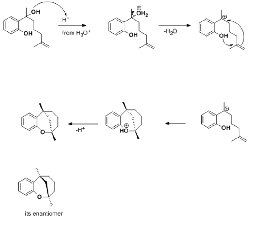 Solved OH OH2 OH from H3o* OH -H2O OH OH -H its enantiomer | Chegg.com