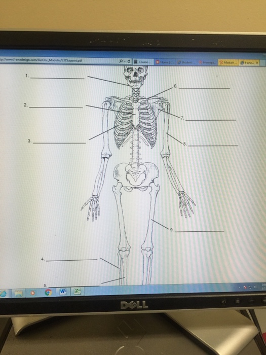 Solved Module 7 Lab Questions Hide Folder Information Folder | Chegg.com