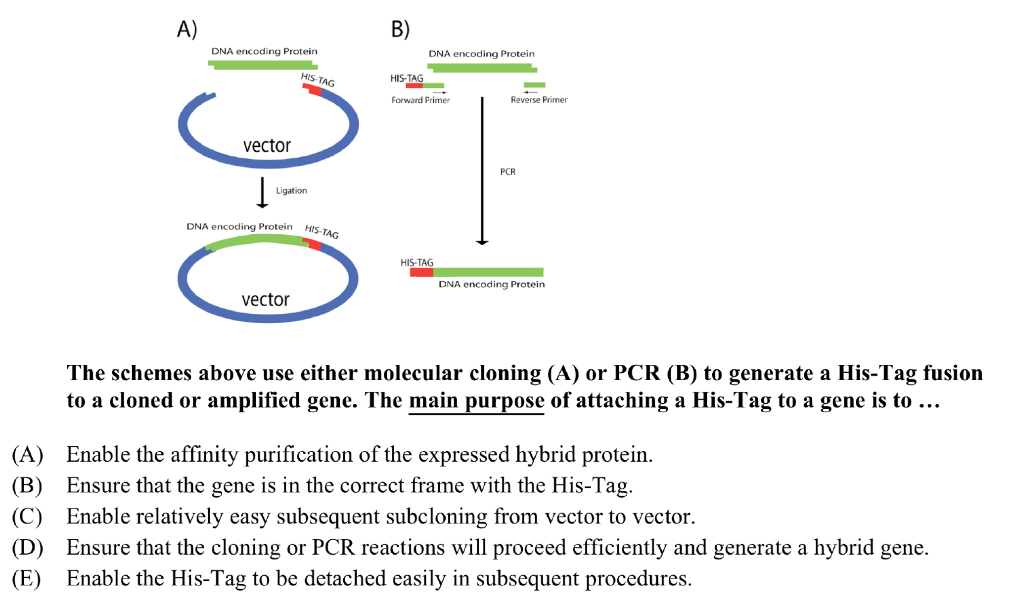 Solved Transcription start point RNA polymerase 5' 3" | Chegg.com