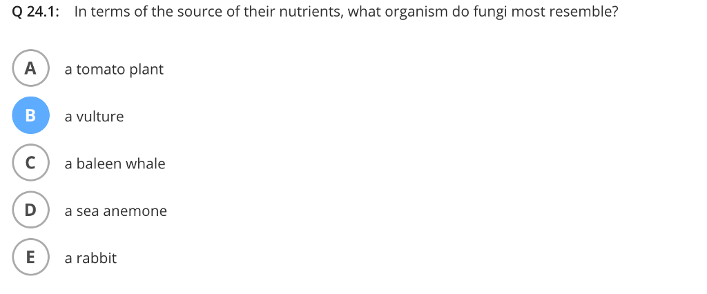 Solved Q23.7: According to the endosymbiotic theory, | Chegg.com