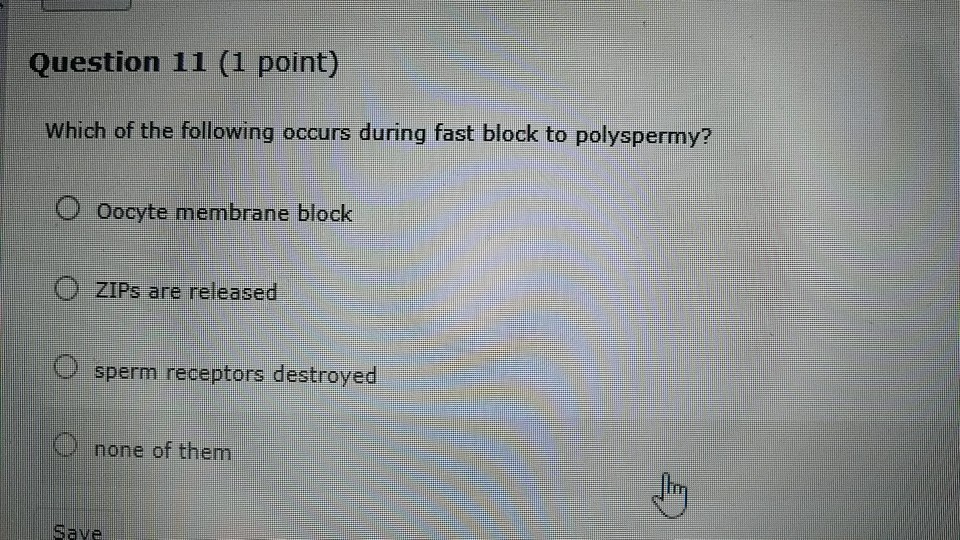 Solved Which of the following occurs during fast block to | Chegg.com
