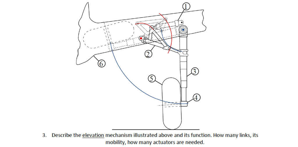 Solved Describe the elevation mechanism illustrated above | Chegg.com