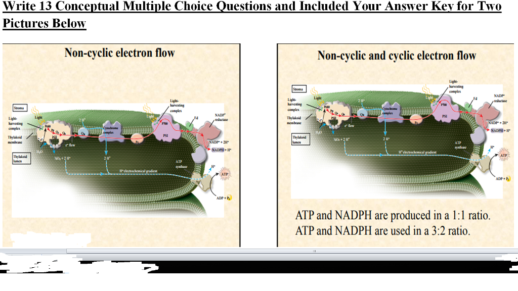 Solved Note: Write 13 Conceptual Multiple Choice Questions | Chegg.com