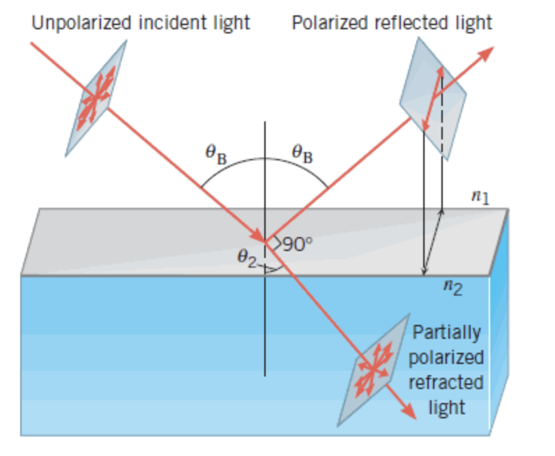 Solved In the figure, light strikes the surface of a liquid | Chegg.com