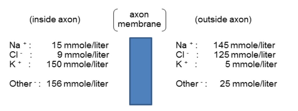 Solved a) Action potential in a neuron starts at the axon | Chegg.com