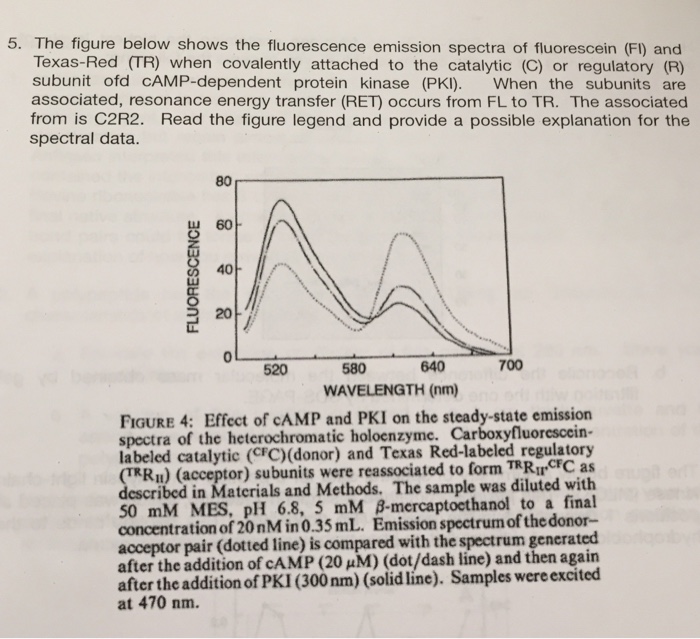 Solved The figure below shows the fluorescence emission | Chegg.com