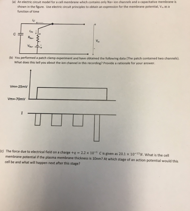 Solved An electric circuit model for a cell membrane which | Chegg.com
