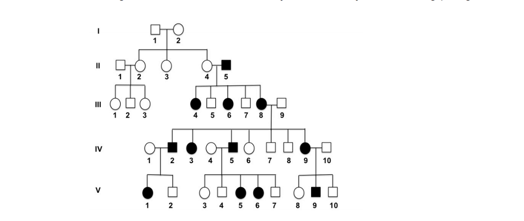 Solved Genetics A Rare Human Monogenic Disease Affects A 7259