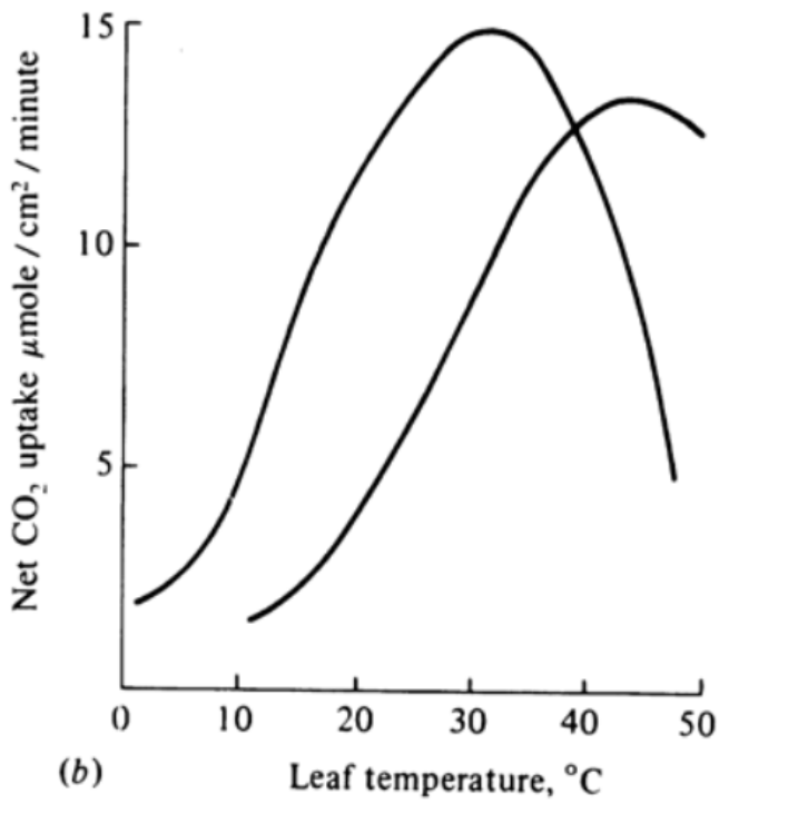 Solved . The optimal temperature for maximum photosynthesis | Chegg.com
