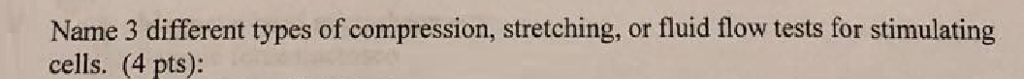 Solved Name 3 different types of compression, stretching, or | Chegg.com