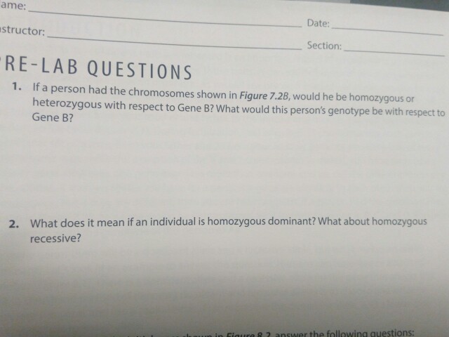 Solved ame: Date: structor: Section: RE-LAB QUESTIONS 1. If | Chegg.com Solved ame: Date: structor: Section: RE-LAB QUESTIONS 1. If | Chegg.com