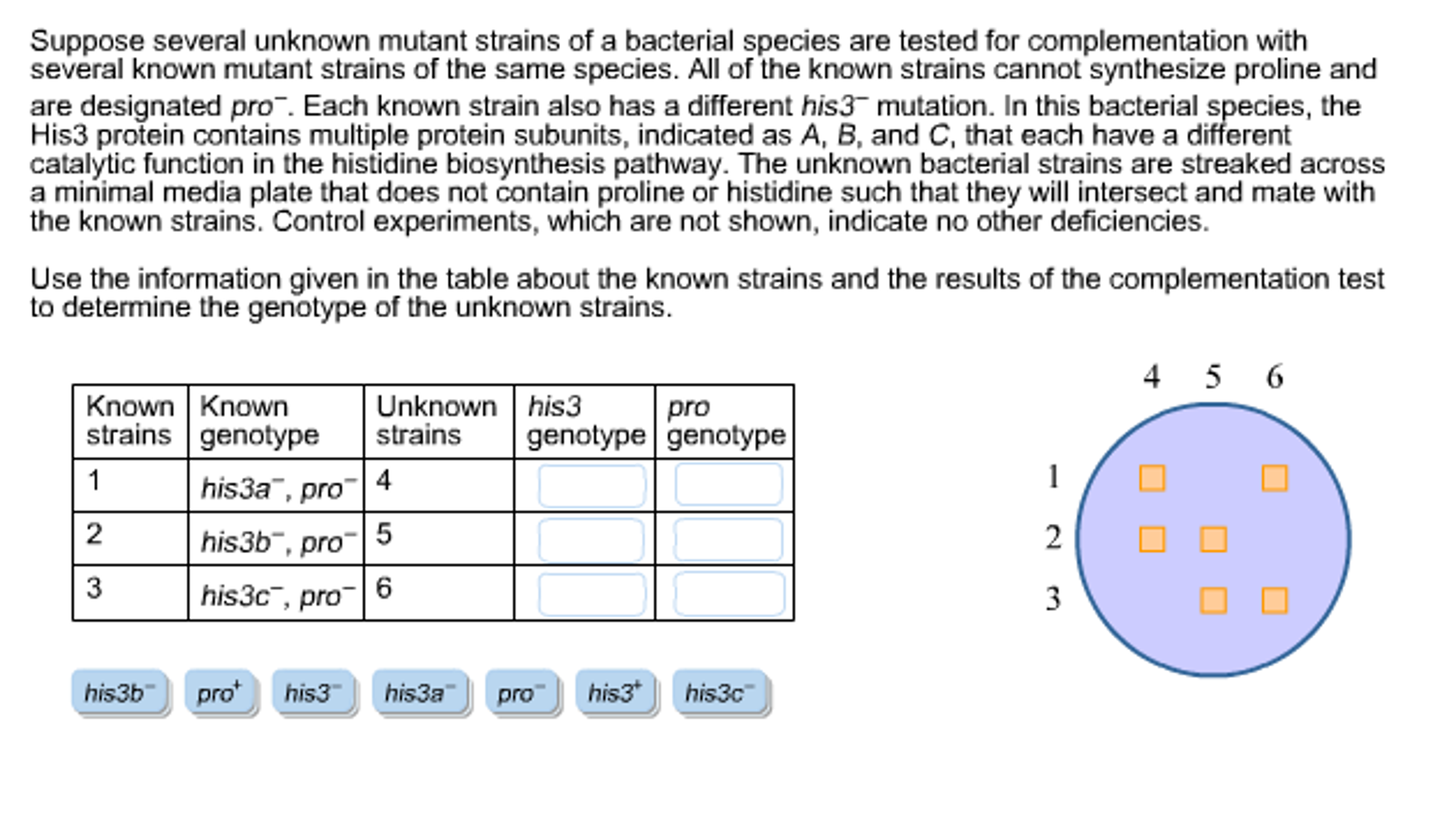 Solved Suppose several unknown mutant strains of a bacterial | Chegg.com