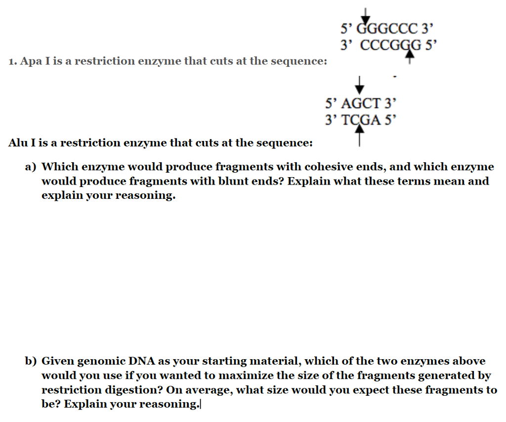 Solved 5' 3' 5' 1. Apa I is a restriction enzyme that cuts | Chegg.com