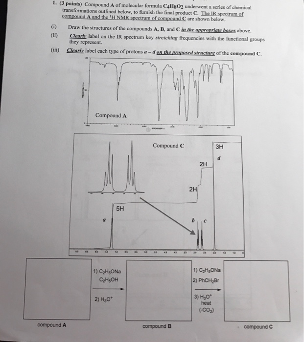 Solved Compound A of molecular formula C4H8O2 underwent a | Chegg.com