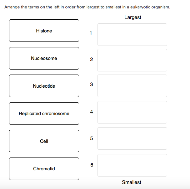 Solved Arrange the terms on the left in order from largest | Chegg.com